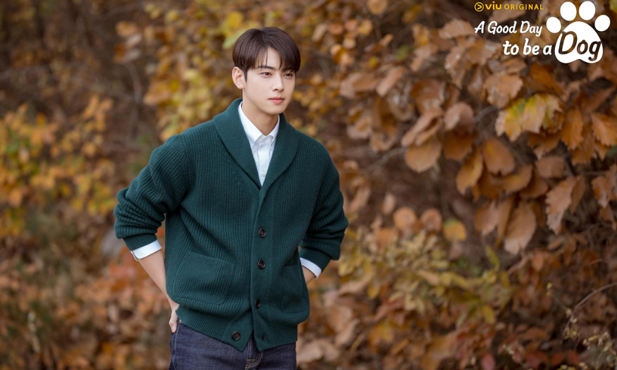 Sinopsis A Good Day to Be a Dog dan 3 Drama Korea Cha Eun Woo