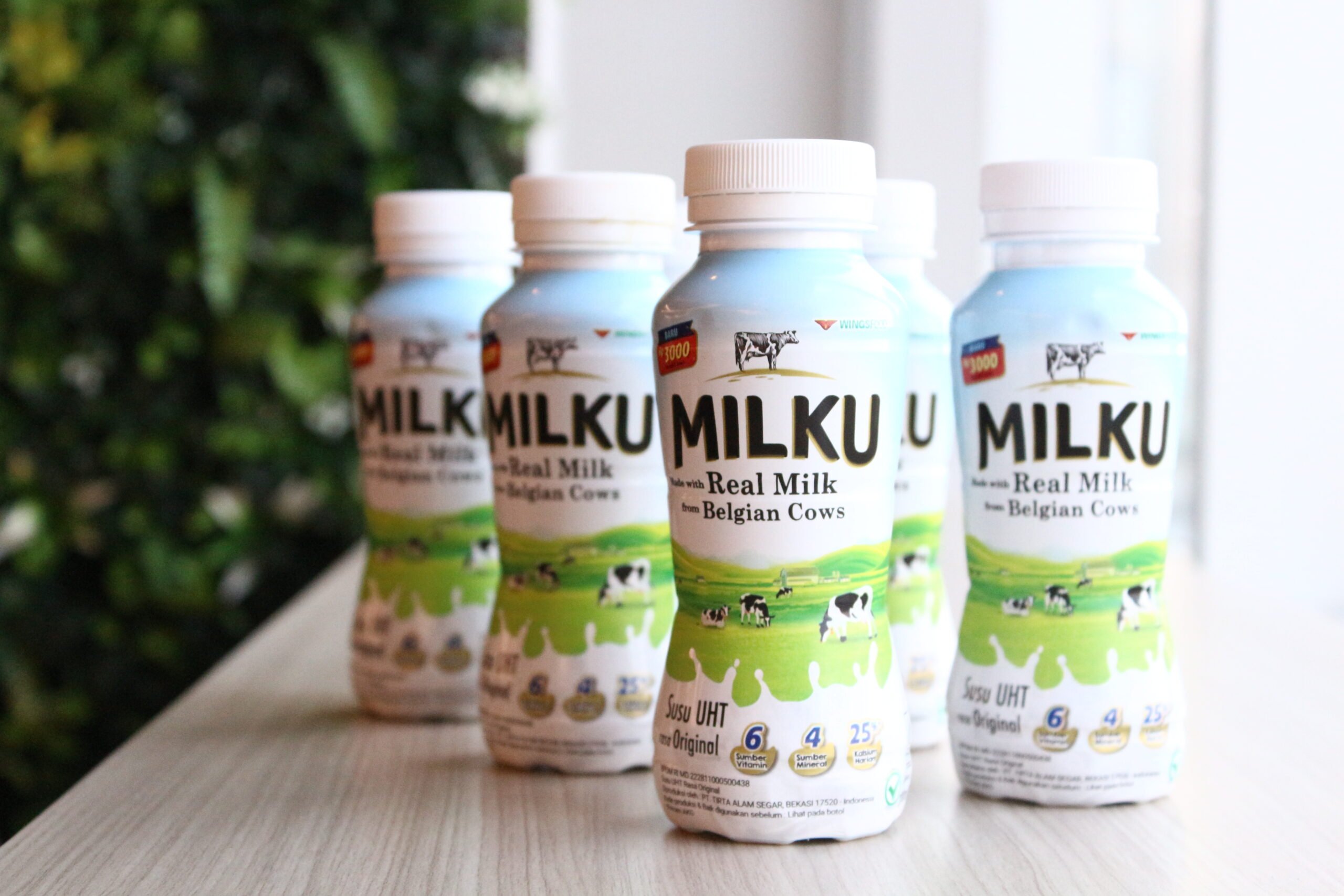 Perkuat Lini Produk Susu UHT, Wings Food Hadirkan Milku Varian Original Perkuat Lini Produk Susu UHT, Wings Food Hadirkan Milku Varian Original