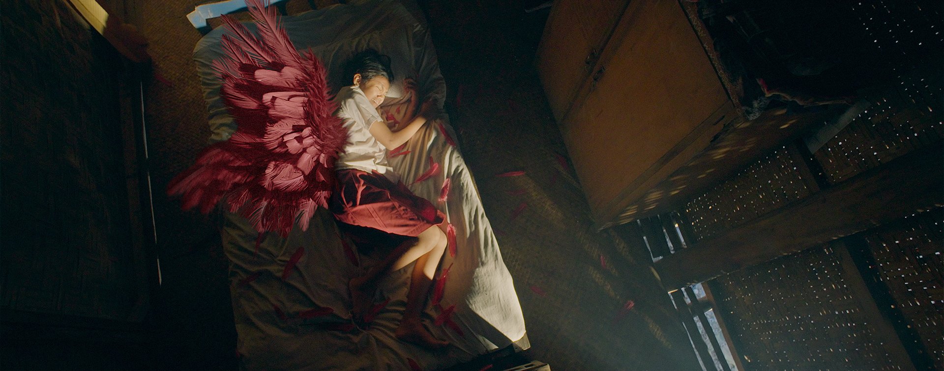 Softex Luncurkan Film Pendek dan Pameran Ana & The Red Wings