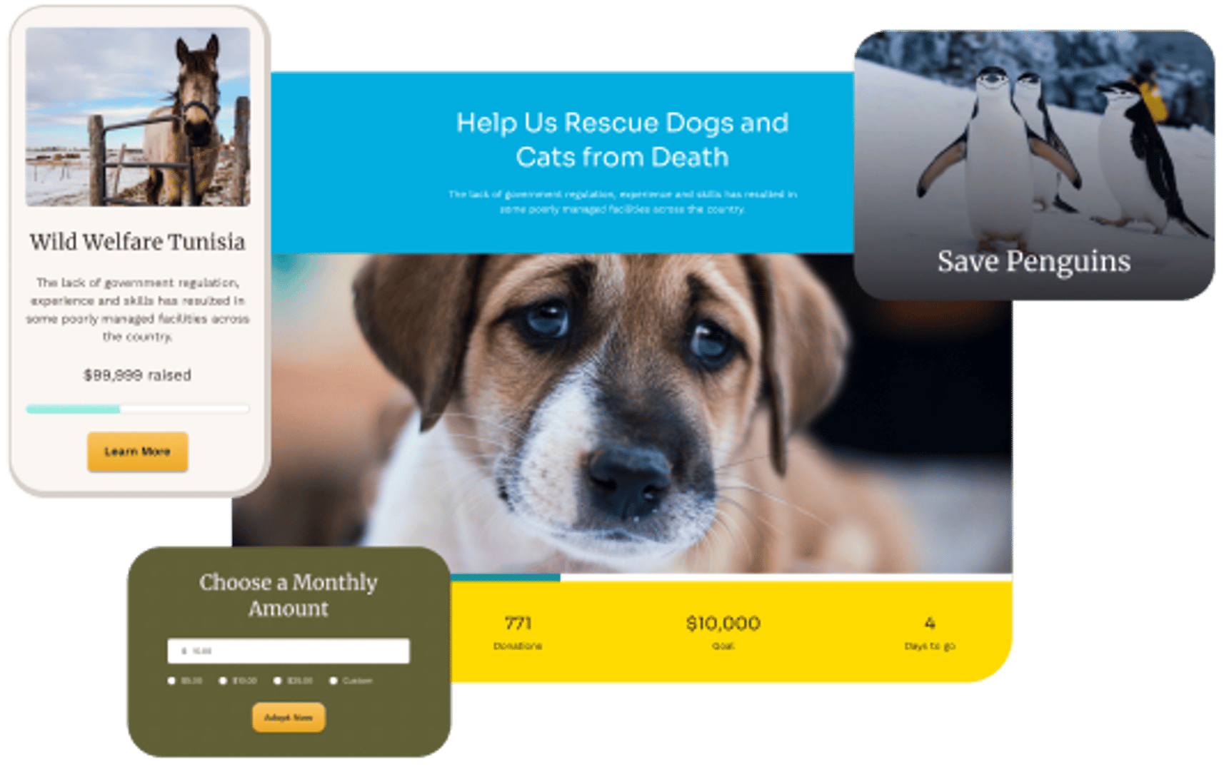 Animal Rescue - Shelter Charity WordPress Theme - cmsmasters studio