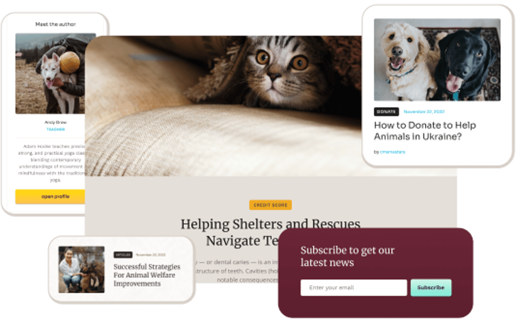 Animal Rescue - Shelter Charity WordPress Theme - cmsmasters studio