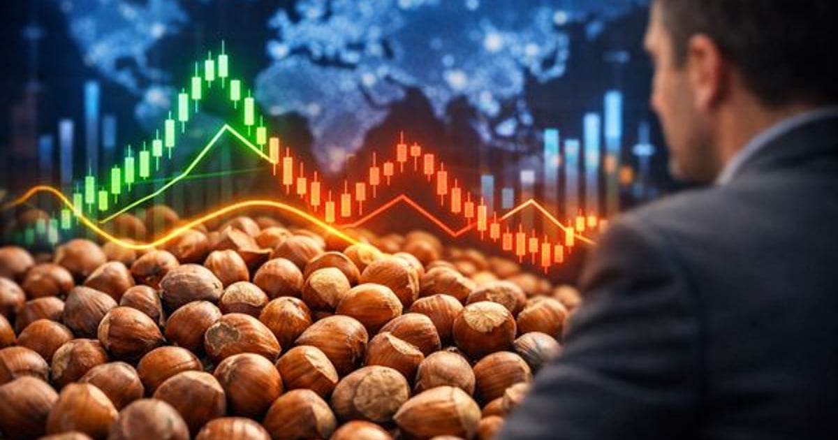 Hazelnut Market Update: Turkish and Georgian Prices Stabilise — CMB News