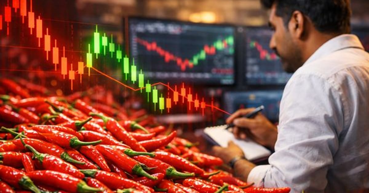 Indian chilli prices: April 2026 FOB trends, tight supply and outlook ...