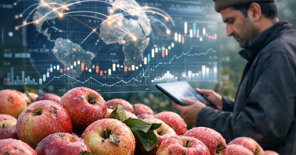Kashmir apple market analysis: hailstorm damage and climate risk 2026 ...