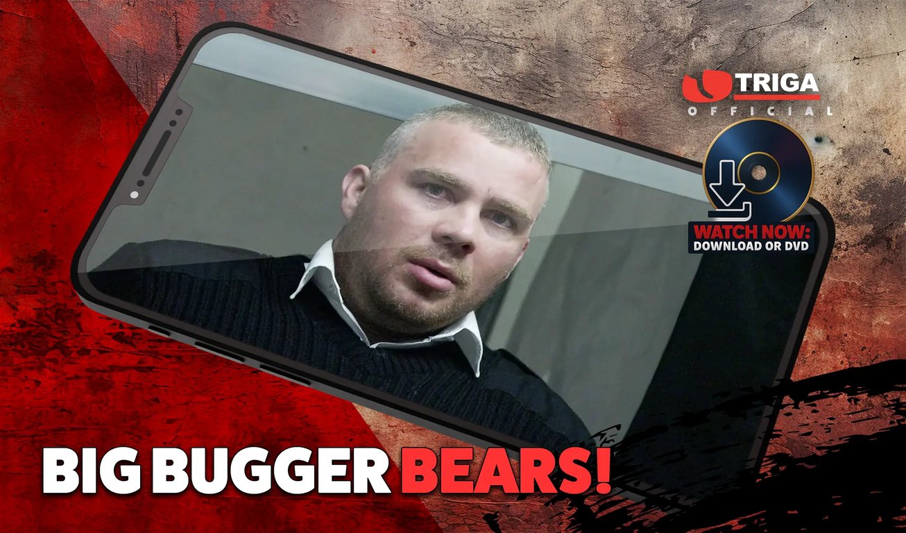 BIG BUGGER BEARS – TFilms