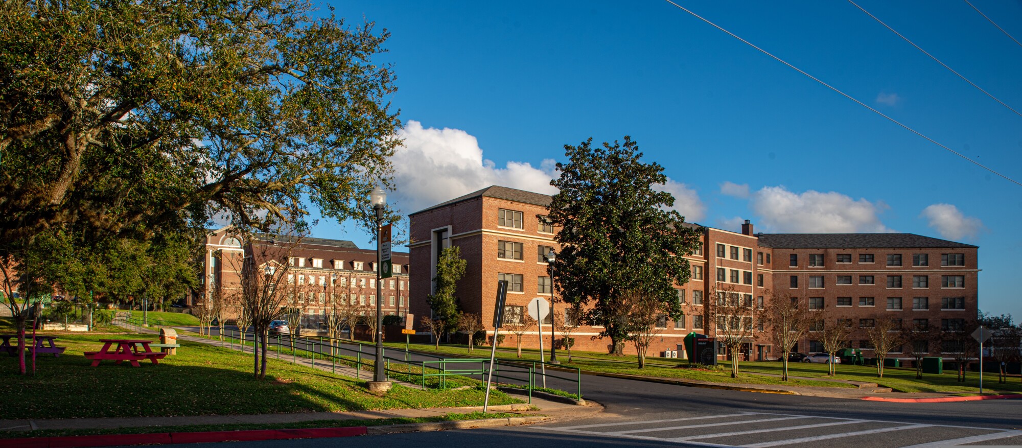 Discovering the Perks of Area College: A Pathway to Success ...