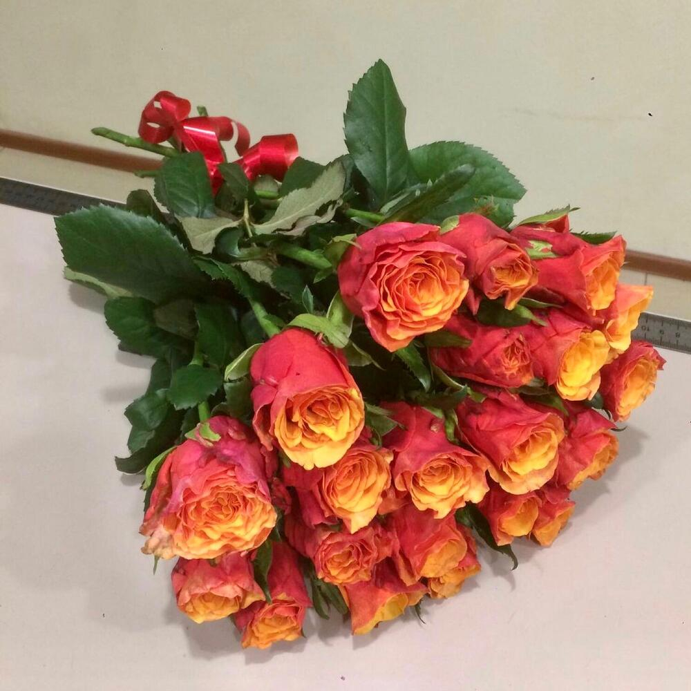 Bouquet 'Yellow-red rose' - order and send for 56 $ with same day ...