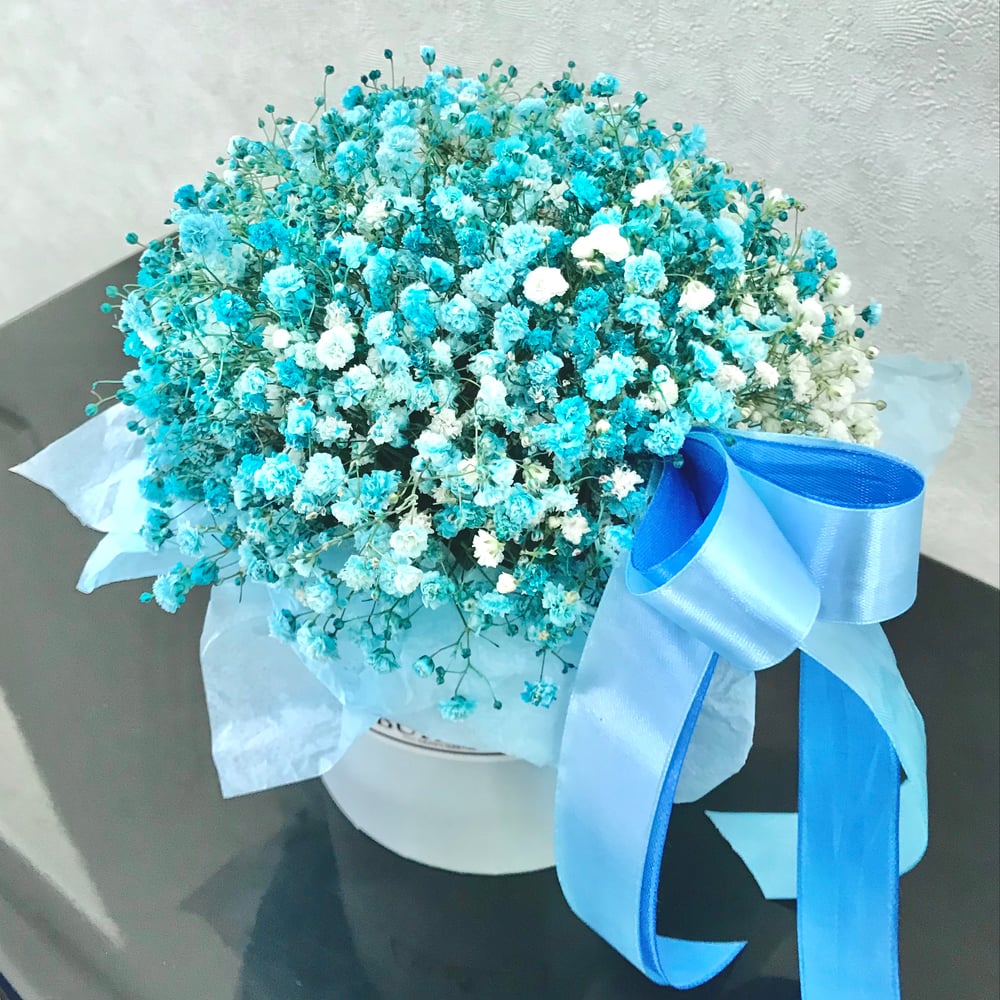 Blue Snow - order and send for 23 £ with same day delivery ...