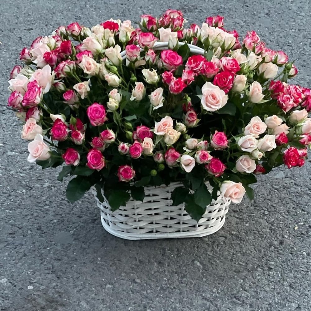 Mercy - order and send for 80 £ with same day delivery ...