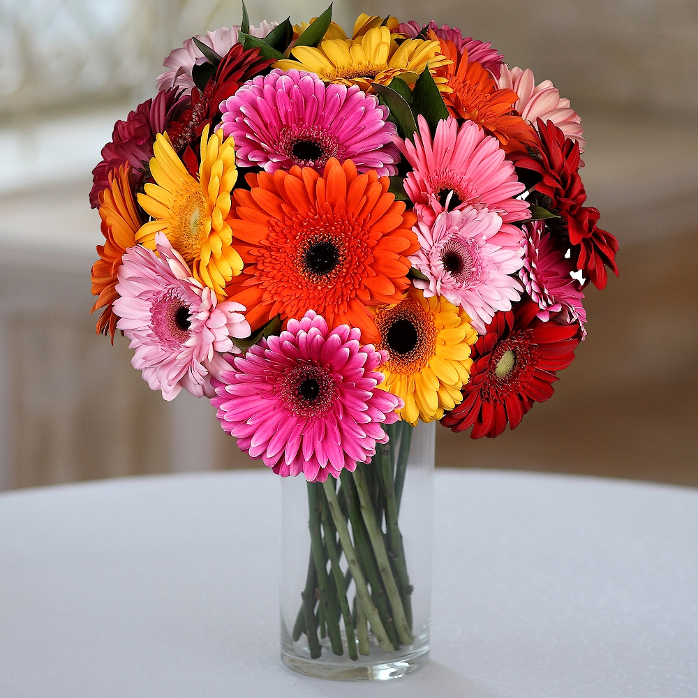 A bouquet of 25 gerberas - order and send for 80 £ with same day ...