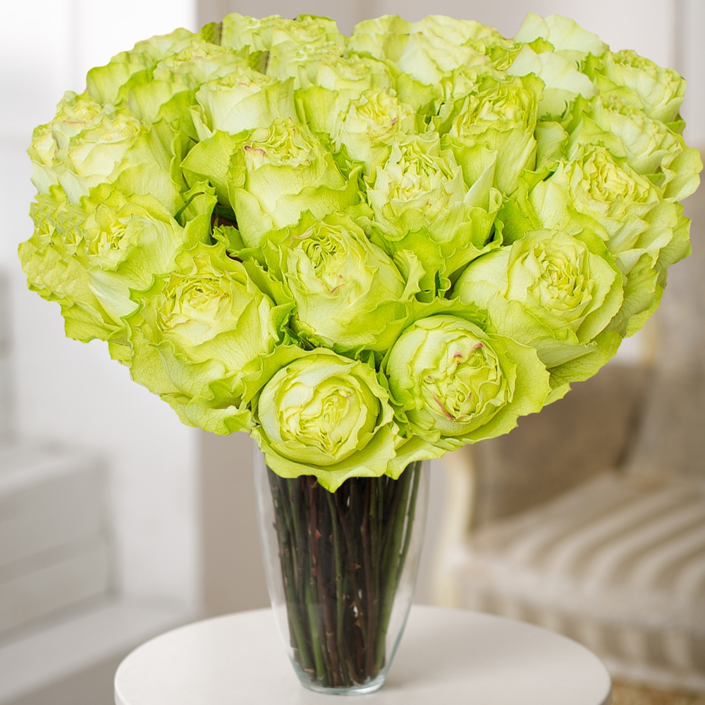 Bouquet 'Two Dozen Green Roses' | Order Flower Bouquets Delivery