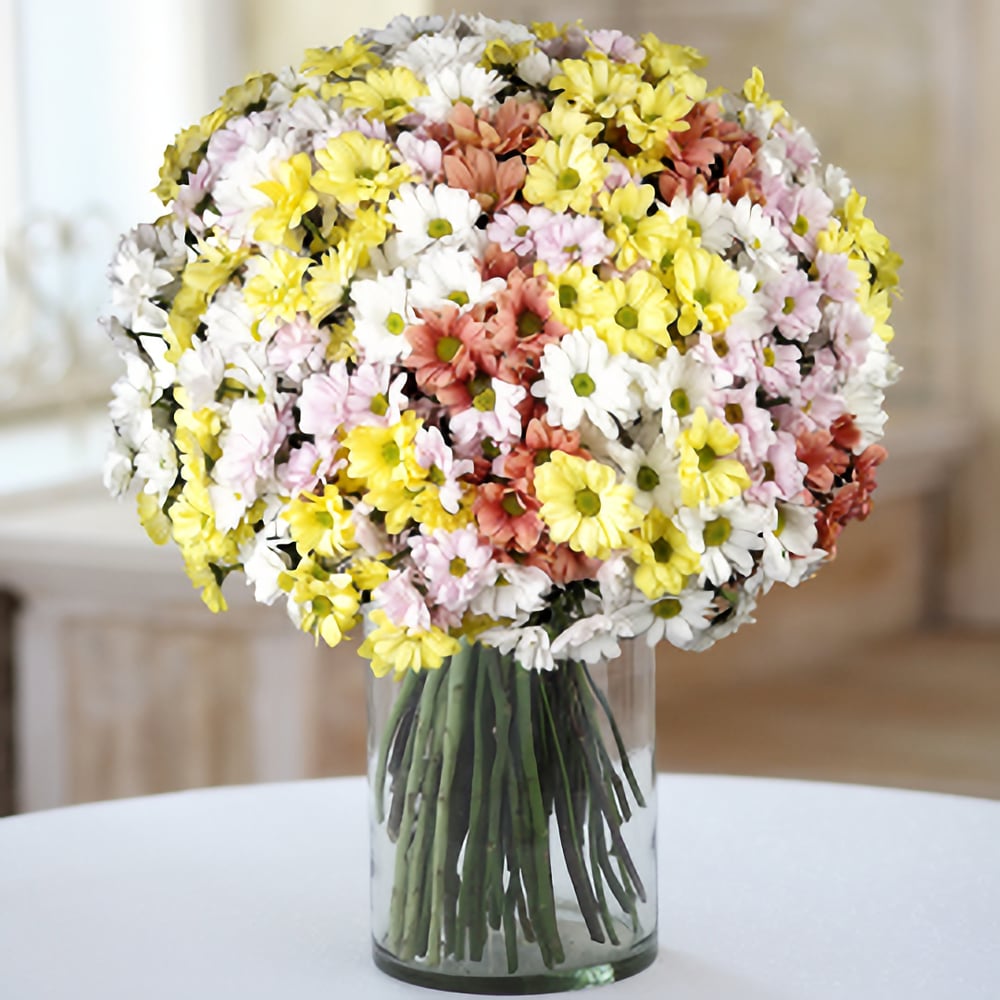 Ramo '50 Crisantemos tipo pompón' - pedir y enviar por 177 € con ...