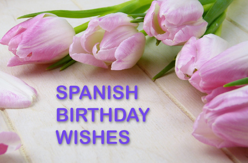 Birthday Wishes and Quotes in Spanish | MyGlobalFlowers.com