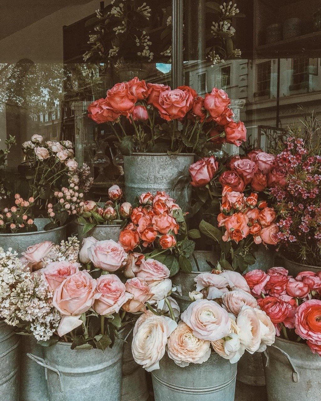 Best Flower Delivery Services in Germany: Blooms for Every Occasion