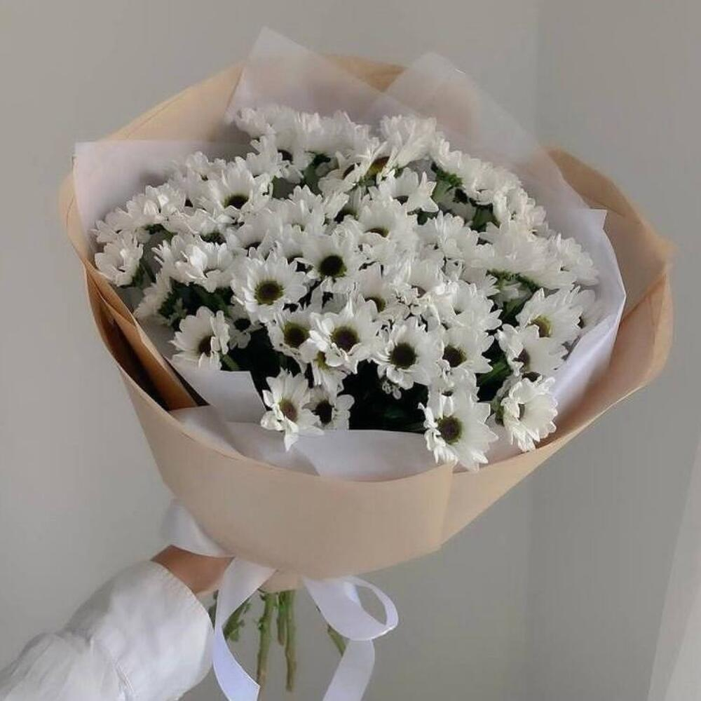 Букет из 15 Хризантем Бакарди - заказать и купить за 4 290 ₽ с ...
