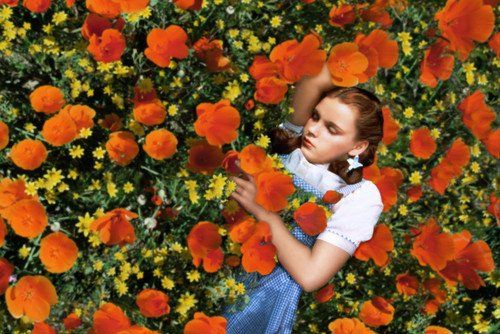 The Most Recognizable Flowers In Movies | MyGlobalFlowers