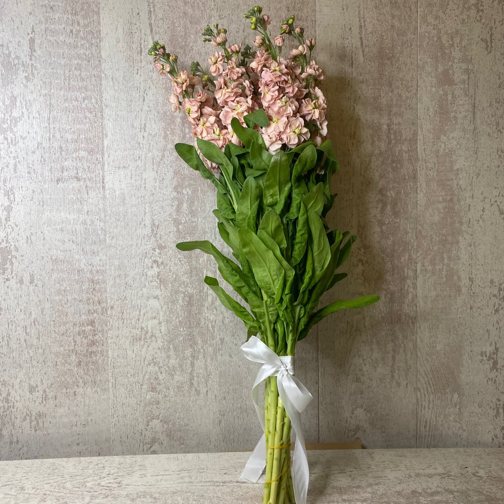Matthiola Flower Arrangement | Best Flower Site