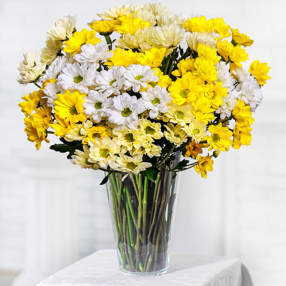 Bouquet 'One Dozen of Daisy Poms' Flowers | Flower Delivery