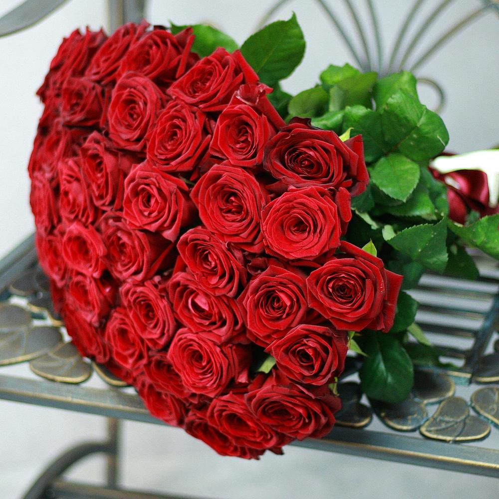 55 roses Red Naomi - order and send for 59 £ with same day delivery ...