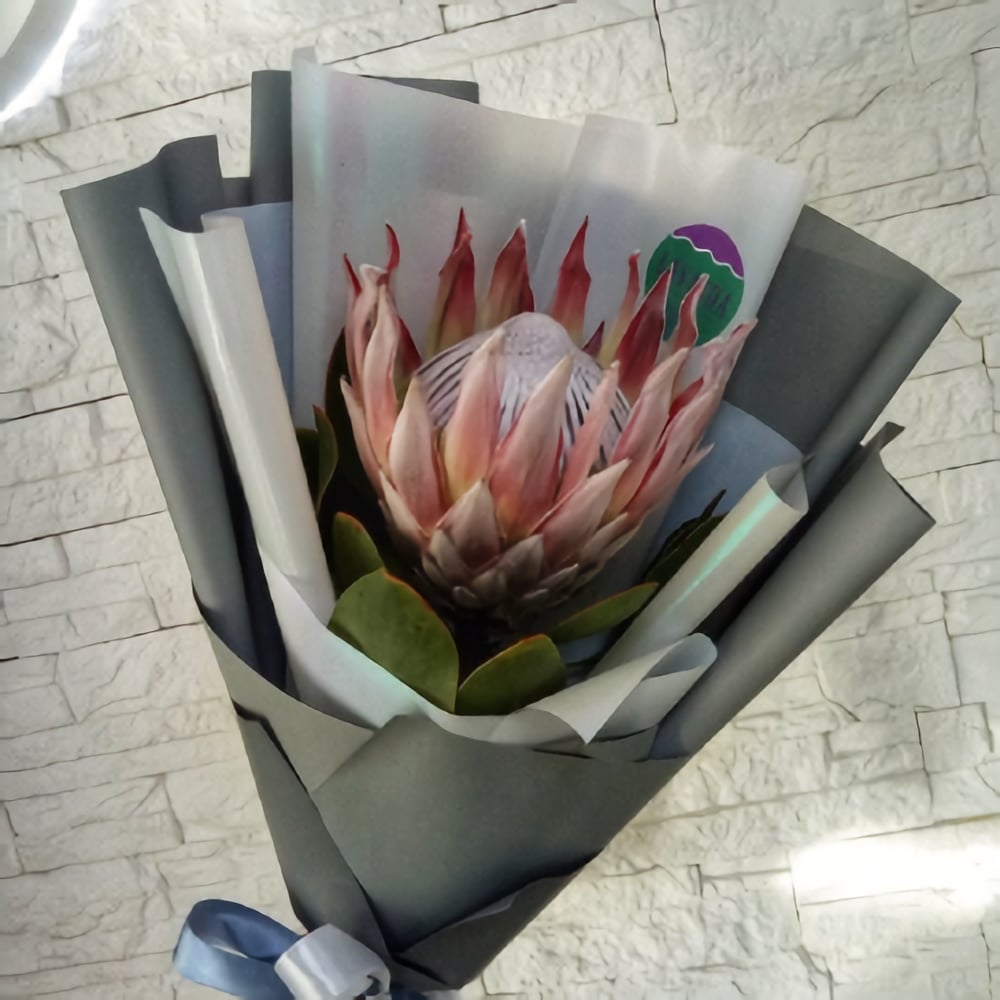Blumenstrauß 'Royal protea' - bestellen und versenden für 22 € mit ...