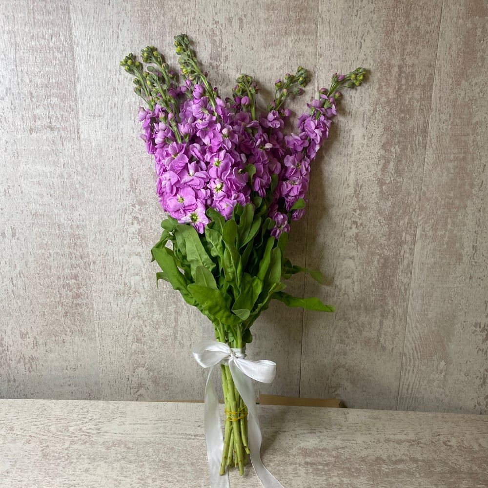 Matthiola Flower Arrangement | Best Flower Site