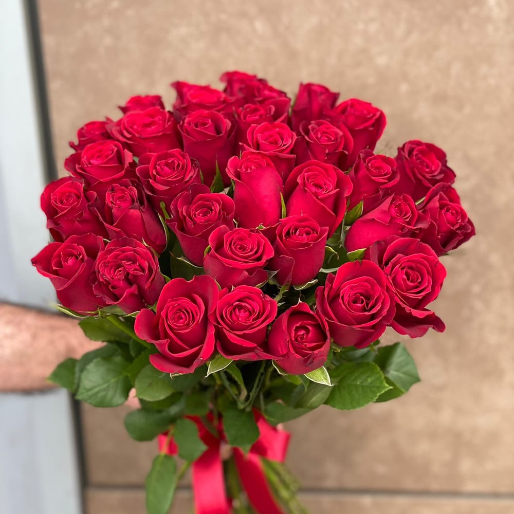 Ribbon Red Roses Plant