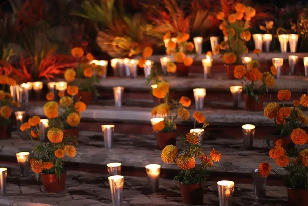 Day of the dead flowers: history and meaning