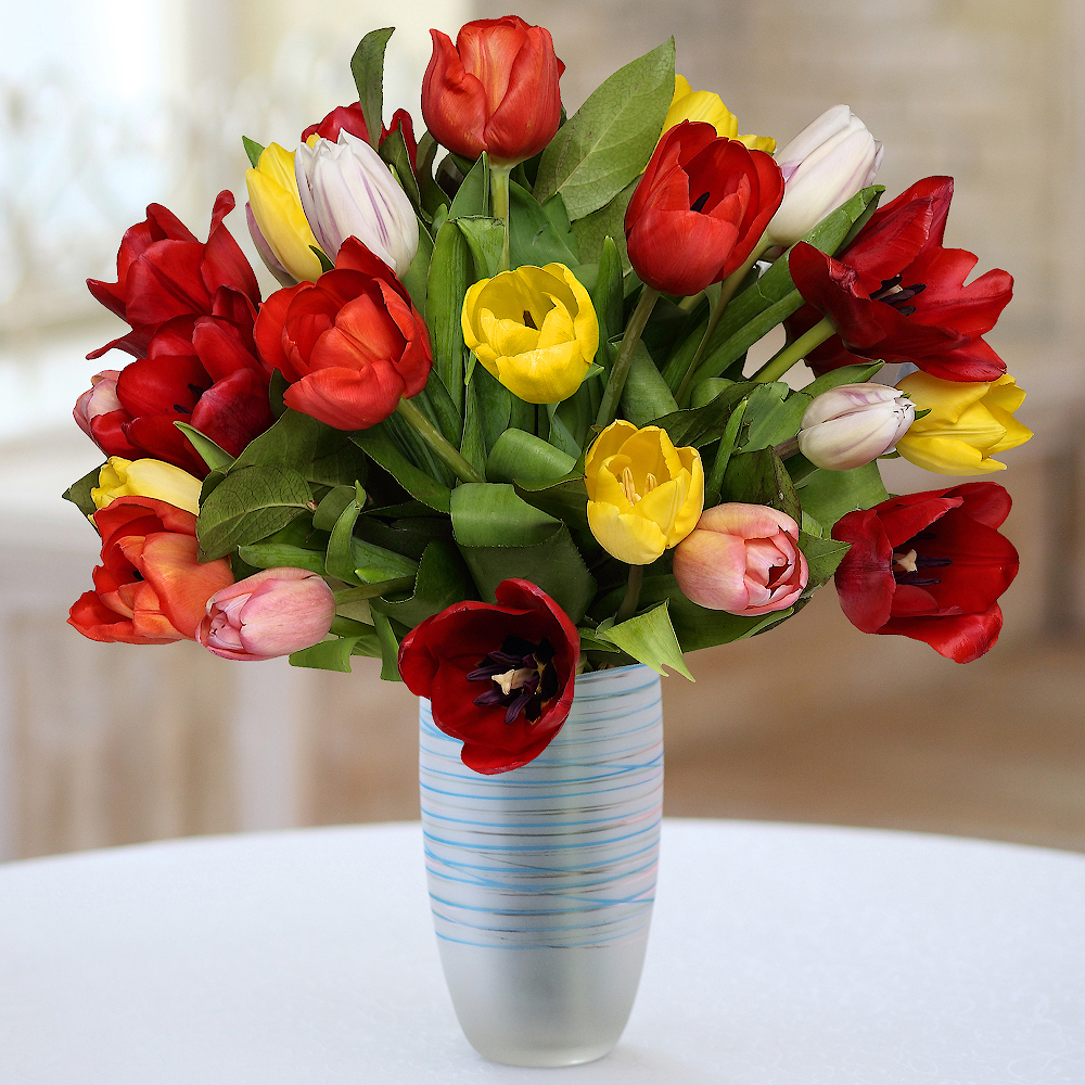 Bouquet 'Two Dozen Tulips' - order and send for 90 $ with same day ...