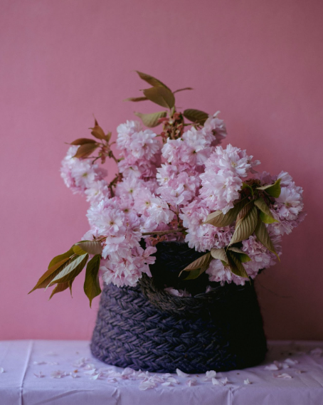 Unveiling Japan's Floral Secrets: A Journey into Flower Gifting Traditions