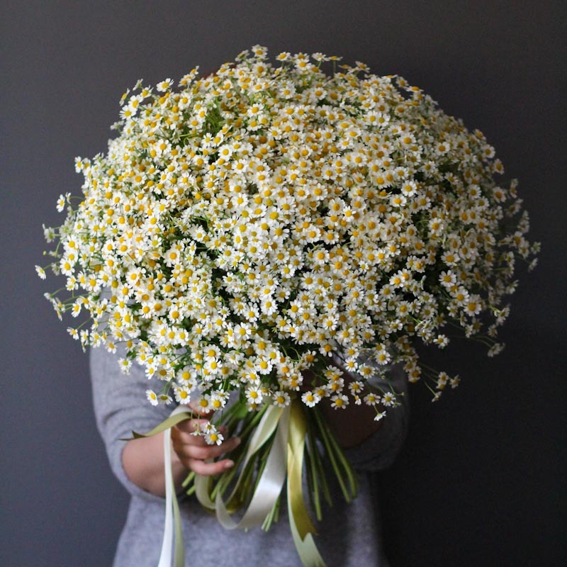 Bouquet '75 spray daisies' | Order Flower Bouquets Delivery