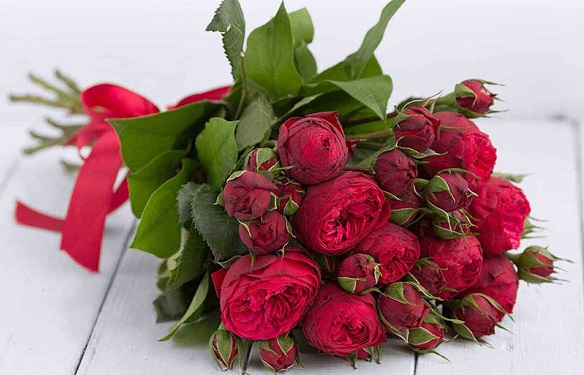 Rosen: Bedeutung von Farbe und Anzahl | MyGlobalFlowers