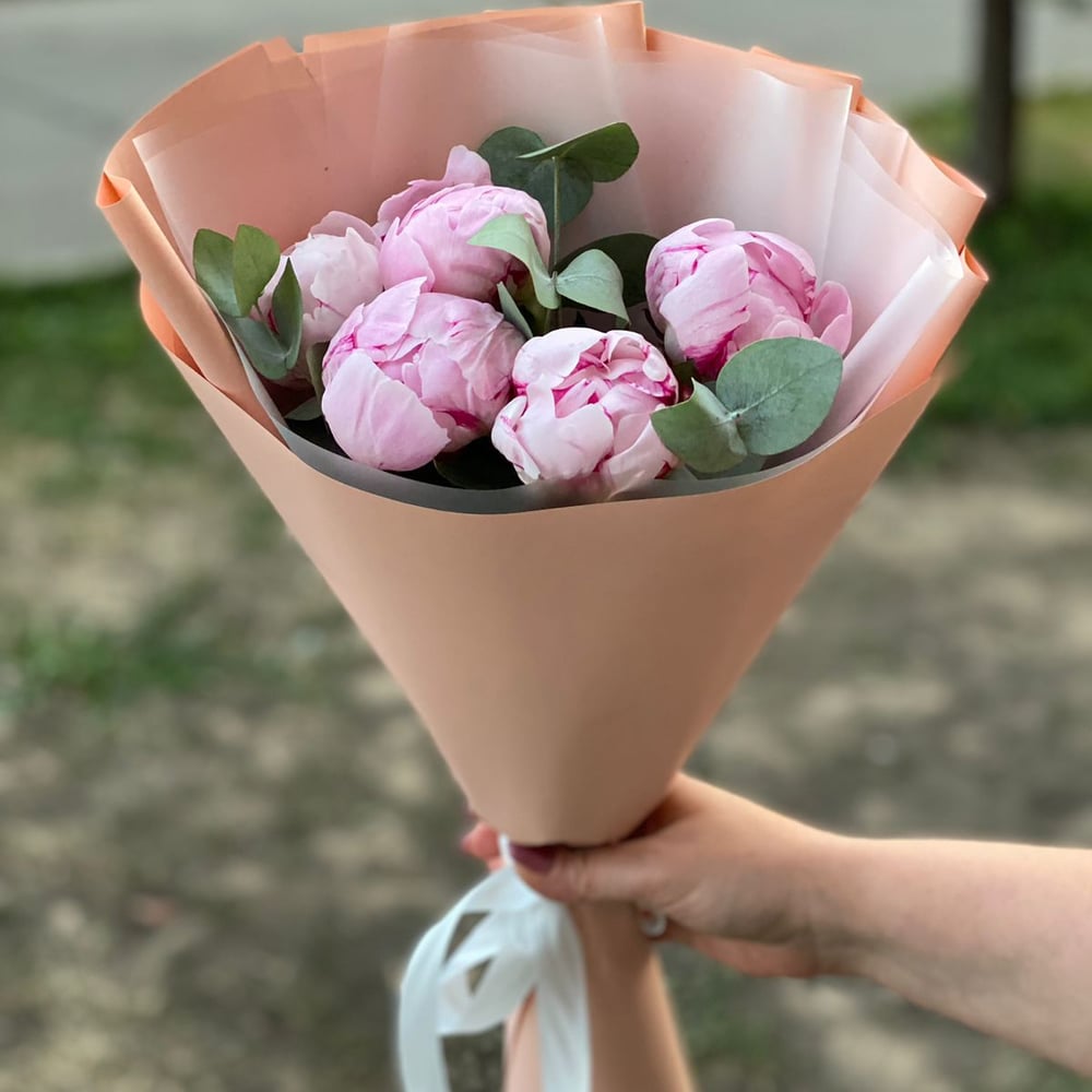 Wilddivy - order and send for 34 £ with same day delivery ...