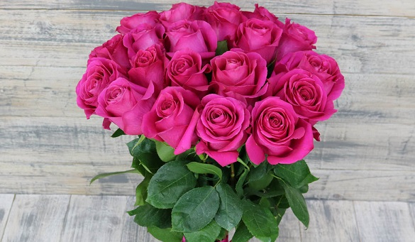 Rosen: Bedeutung von Farbe und Anzahl | MyGlobalFlowers