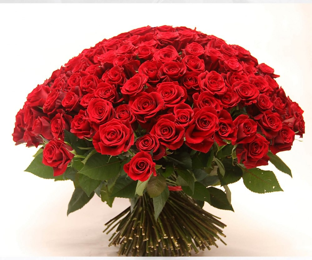 Bouquet of 65 red roses - order and send for 129 $ with same day ...