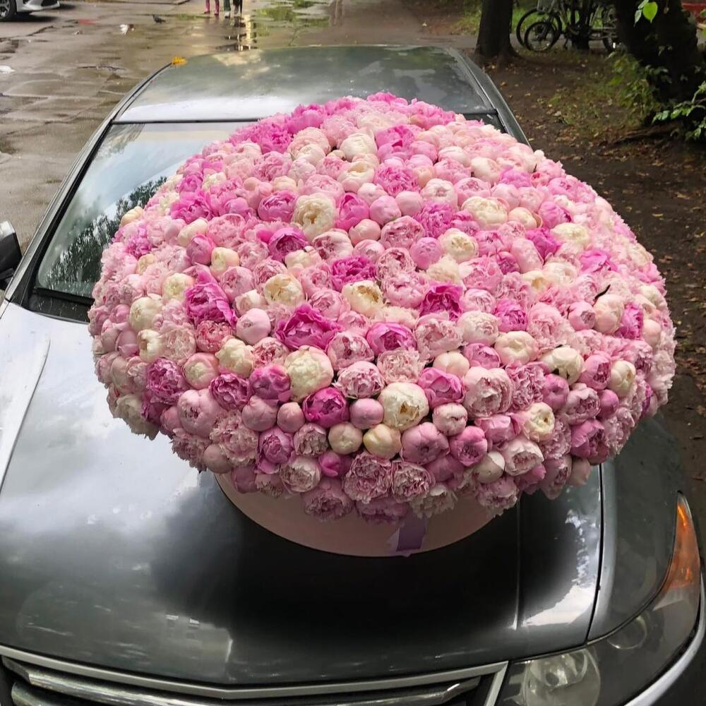 Blumenbox 'Wow peonies' - bestellen und versenden für 2 832 € mit ...