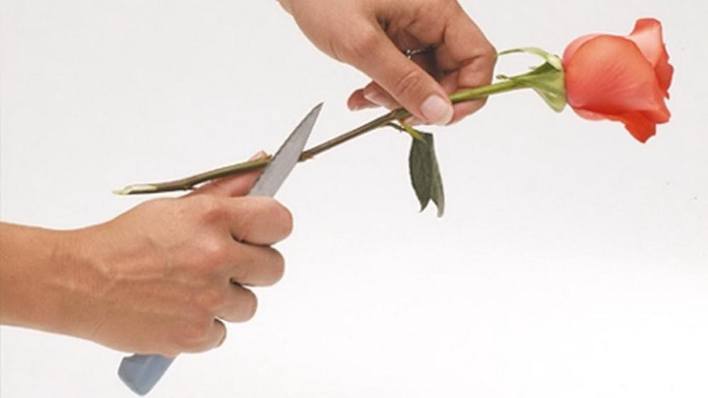 Flower Bouquet Care & Maintenance Tips