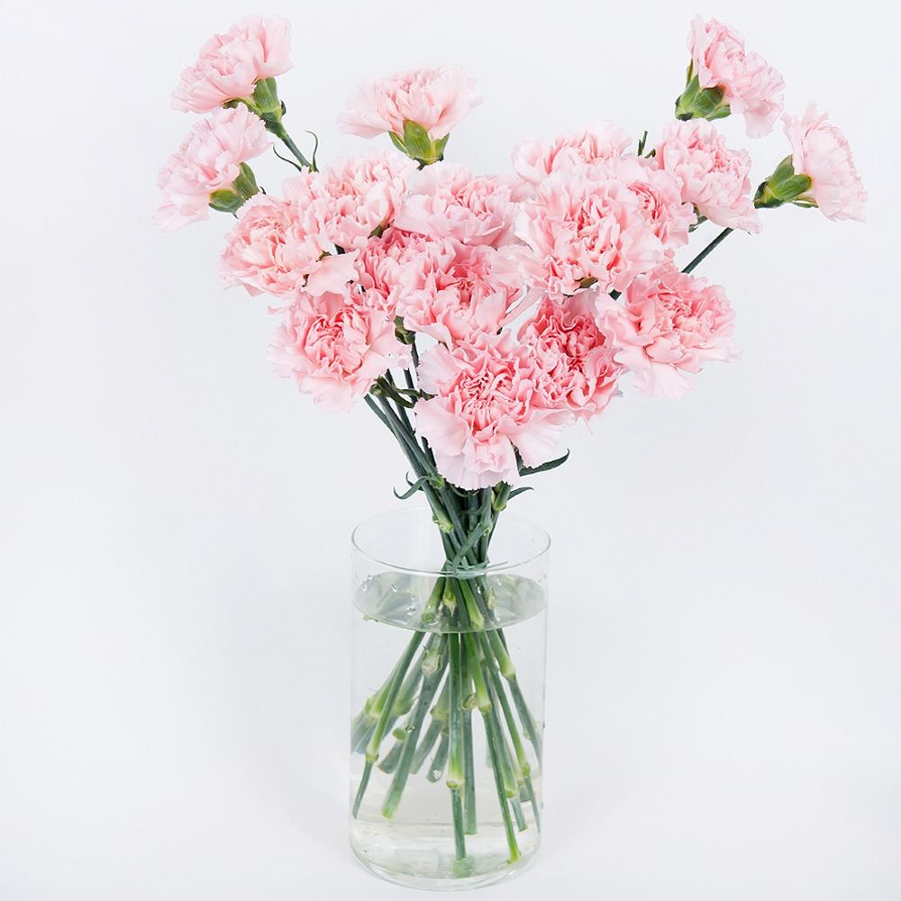 Bouquet 'Rhapsody of Affection' Flowers | Flower Delivery