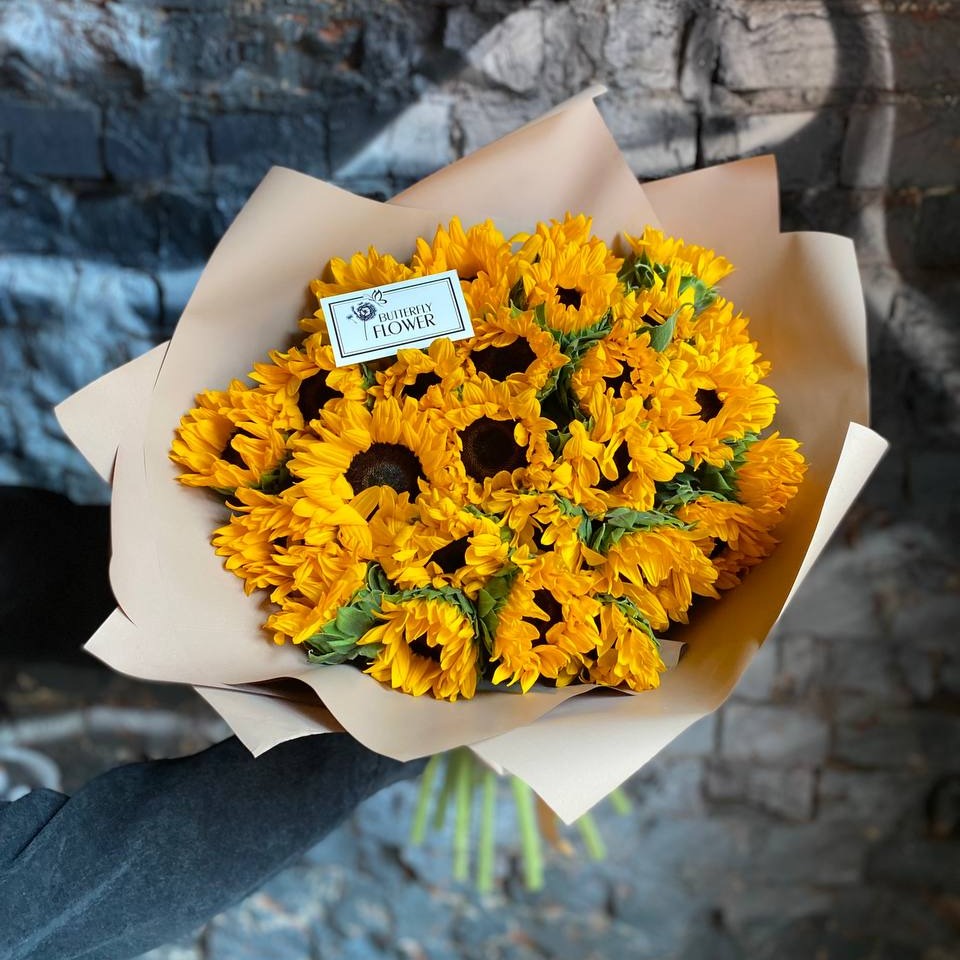 Apollo - order and send for 109 £ with same day delivery ...