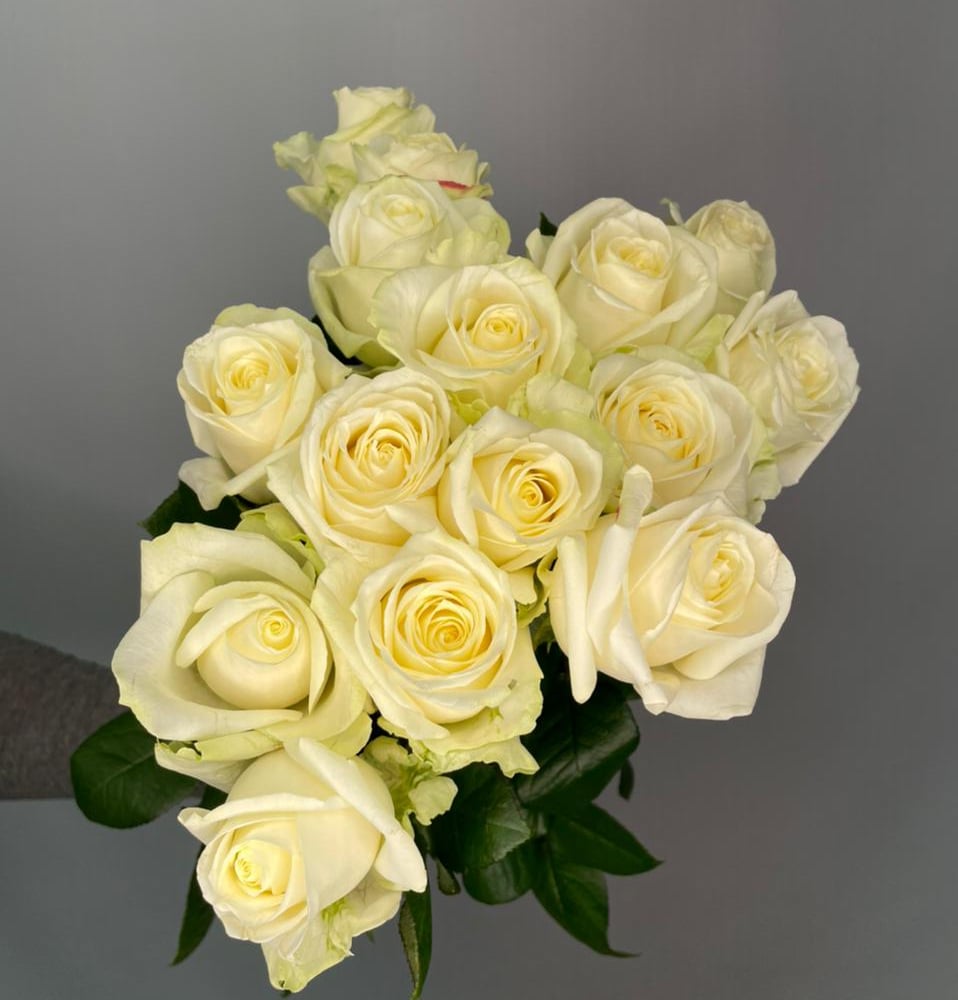 Bouquet 'Rose classic white' - order and send for 37 $ with same day ...