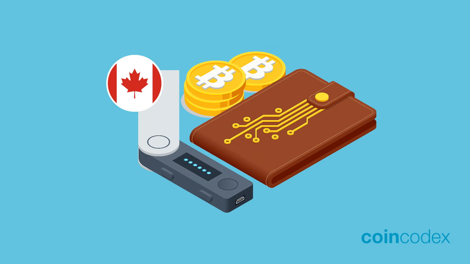 8 Best Hardware Wallets in Canada for 2025 | CoinCodex