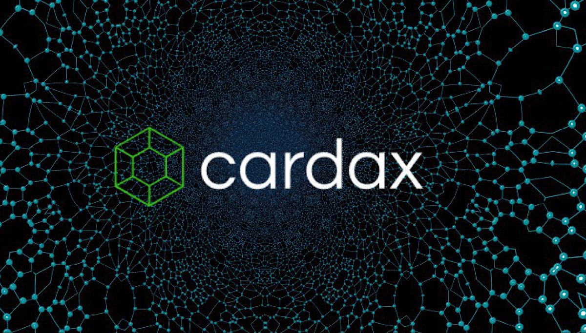 High Gas Fees Are a Problem, Here’s How Cardano Can Help Via Cardax ...