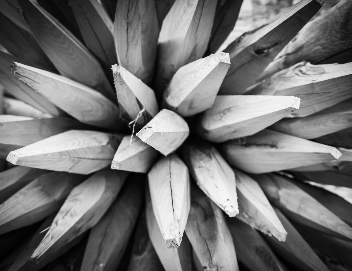 Getting Started with Staking? Try These Standout Platforms | CoinCodex