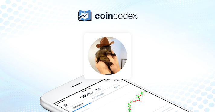 Peanut the Squirrel Price: Live PNUT/USD Rate, Market Cap & PNUT Price Chart | CoinCodex