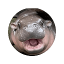 Moo deng(moodeng.cfd) Exchanges - Buy, Sell & Trade MOODENG | CoinCodex
