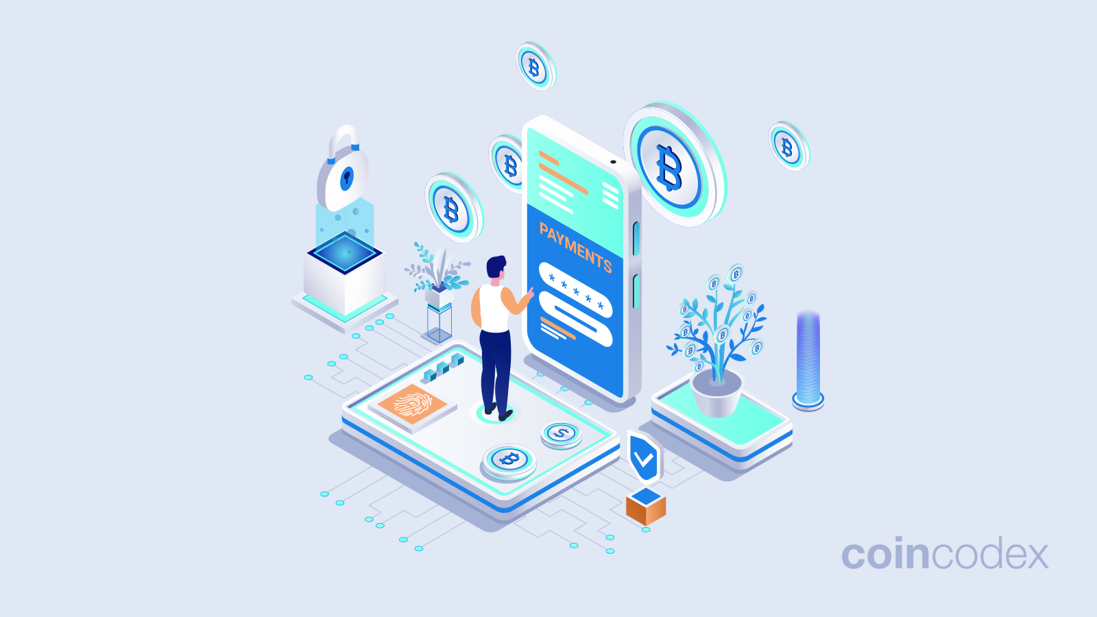 7 Best Crypto Payment Gateways in 2025 | CoinCodex