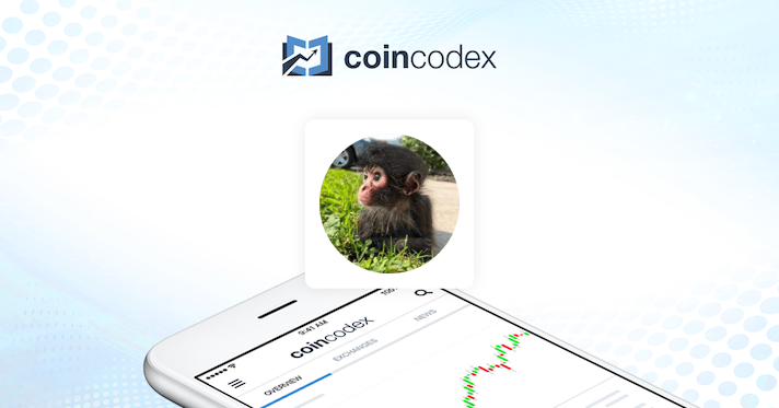 winston spider monkey (WINSTON) News Feed | CoinCodex