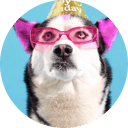 Cambio di criptovalute: compra e vendi SWAGGY | CoinCodex