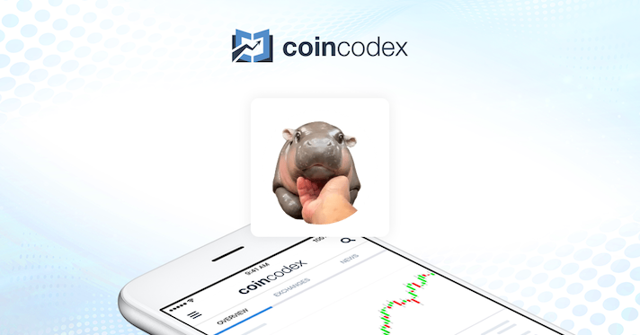 MOO DENG Price: Live MOODENG/USD Rate, Market Cap & MOODENG Price Chart ...