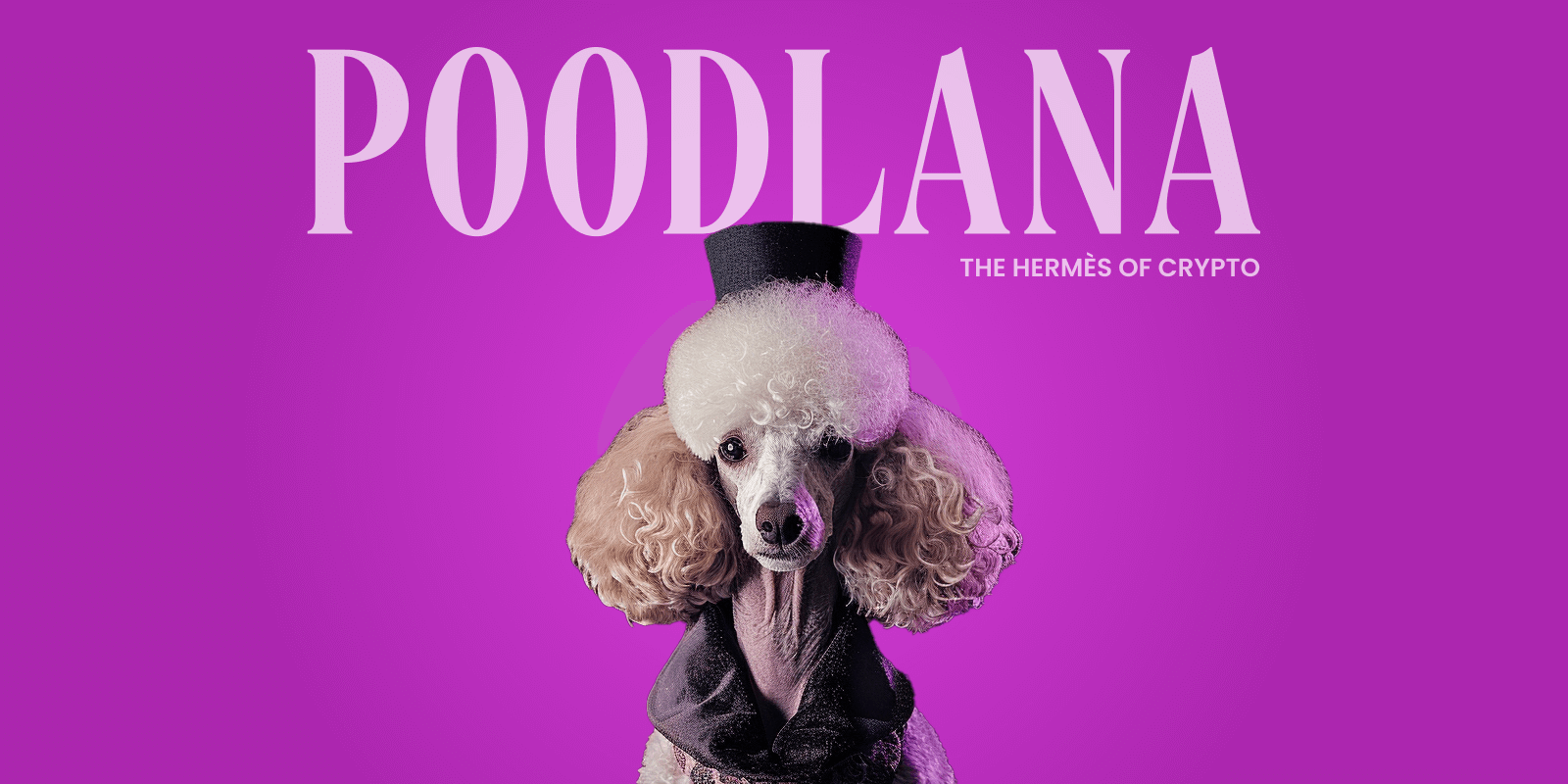 Solana Active Addresses Hit ATH: Top 3 SOL Meme Coins to Keep on Your ...