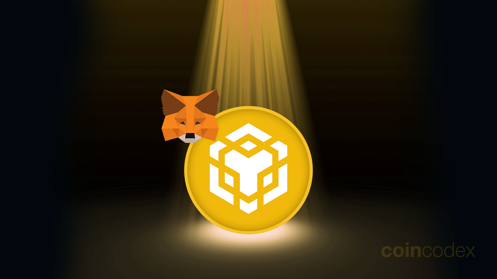 How to Add Binance Smart Chain (BNB) to MetaMask? | CoinCodex